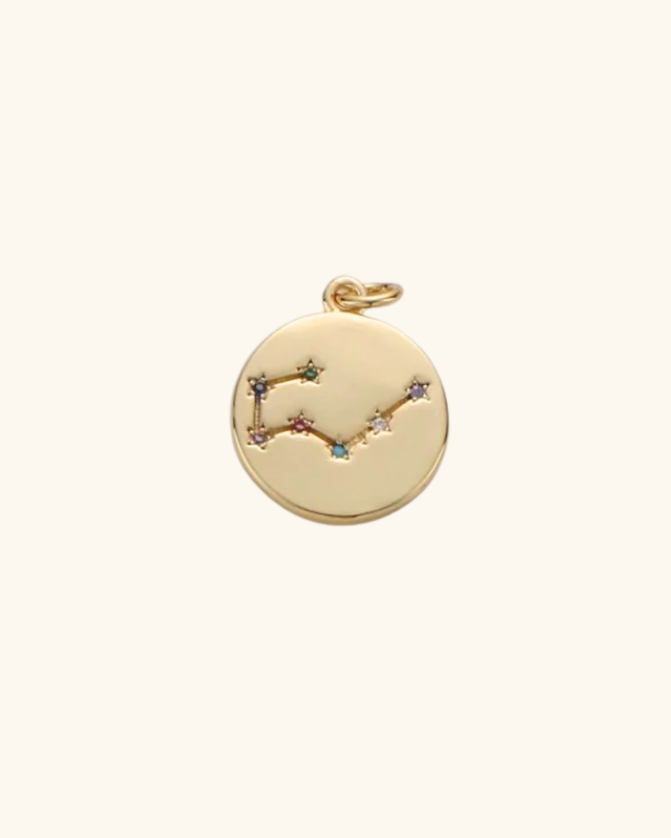 Zodiac Charm– Falling for Dainty